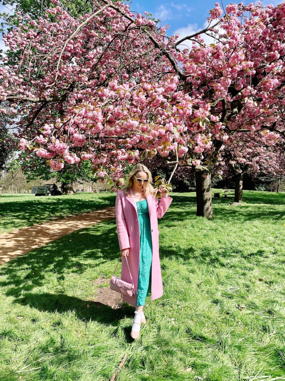 Best London Cherry Blossom Spots: Where & When to See the Blooms ...