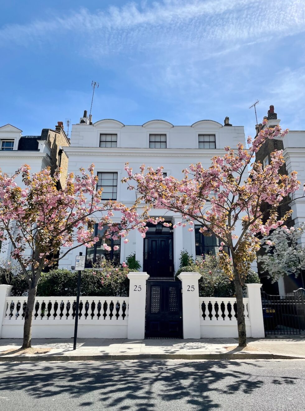 Best London Cherry Blossom Spots: Where & When to See the Blooms ...
