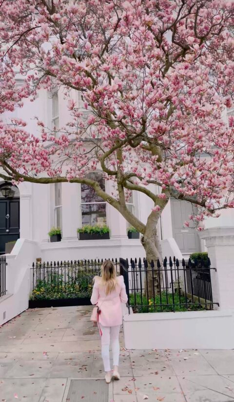 Magnolia in London 2026: Most Beautiful Streets & Instagrammable Spots ...