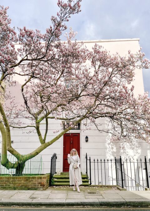 Magnolia in London 2026: Most Beautiful Streets & Instagrammable Spots ...