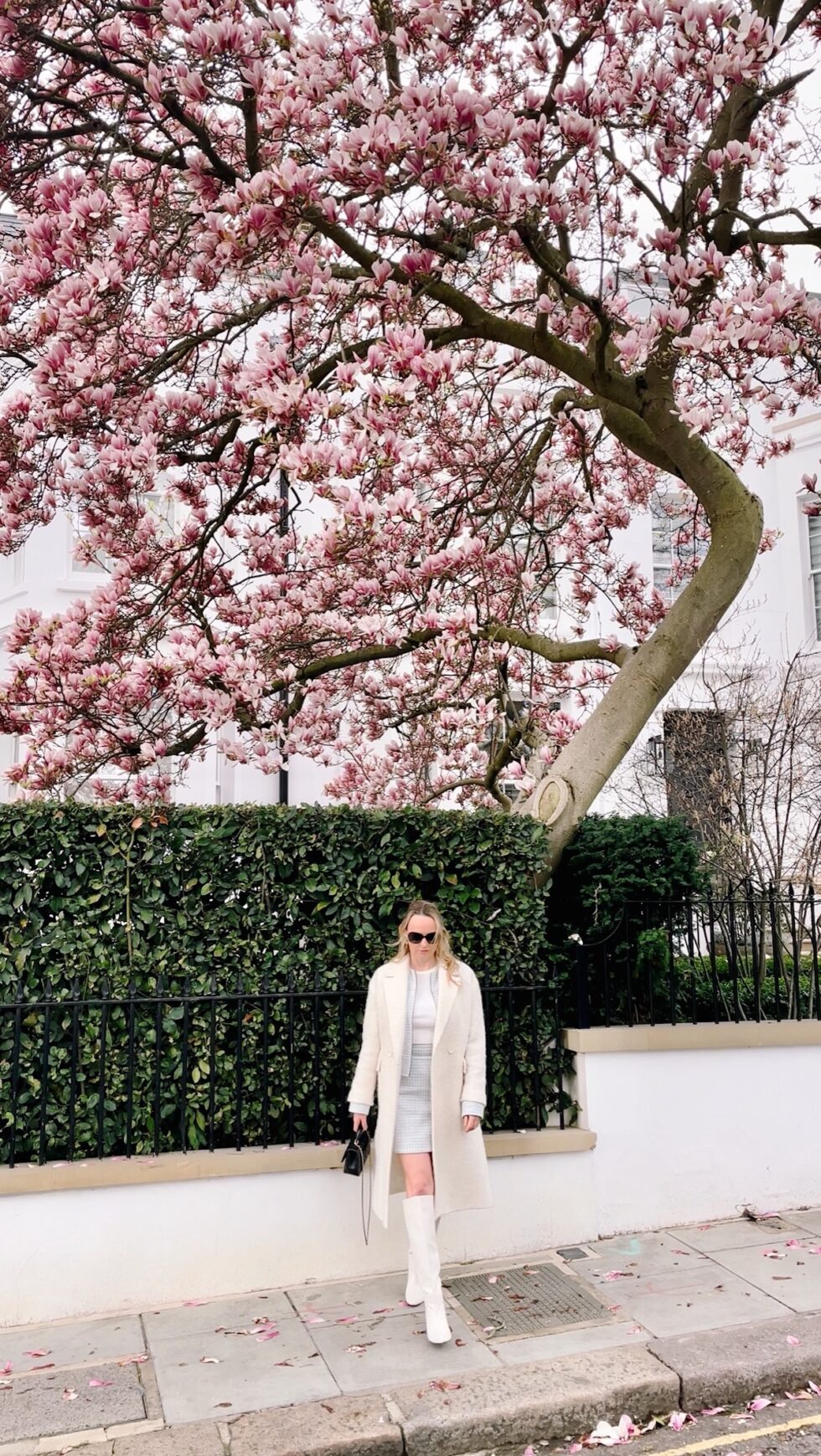 Magnolia in London 2026: Most Beautiful Streets & Instagrammable Spots ...
