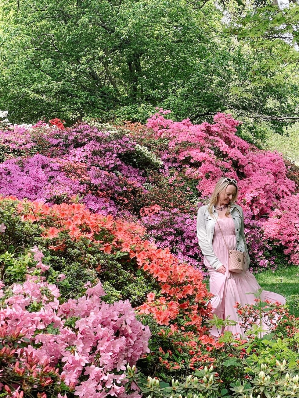 Isabella Plantation Richmond Park: Best Time to Visit, Flowers in Bloom ...