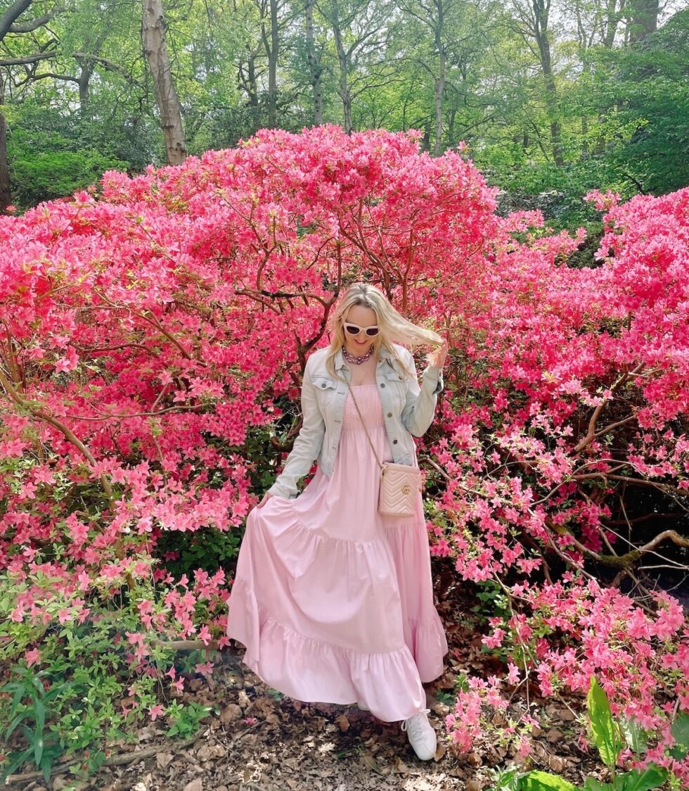 Isabella Plantation Richmond Park: Best Time to Visit, Flowers in Bloom ...