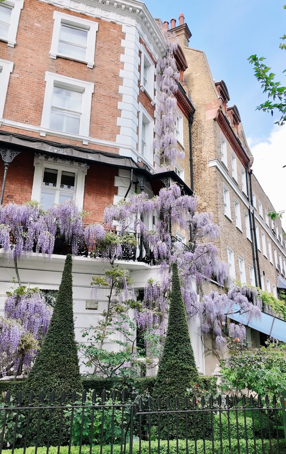 Wisteria Hysteria - Most Instagrammable Places in London | Claire & The ...
