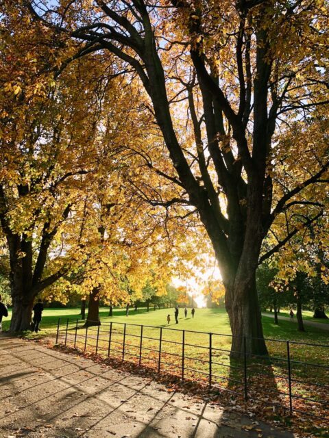 Autumn in London: The Prettiest Places to See the Season 🍁 | Claire ...