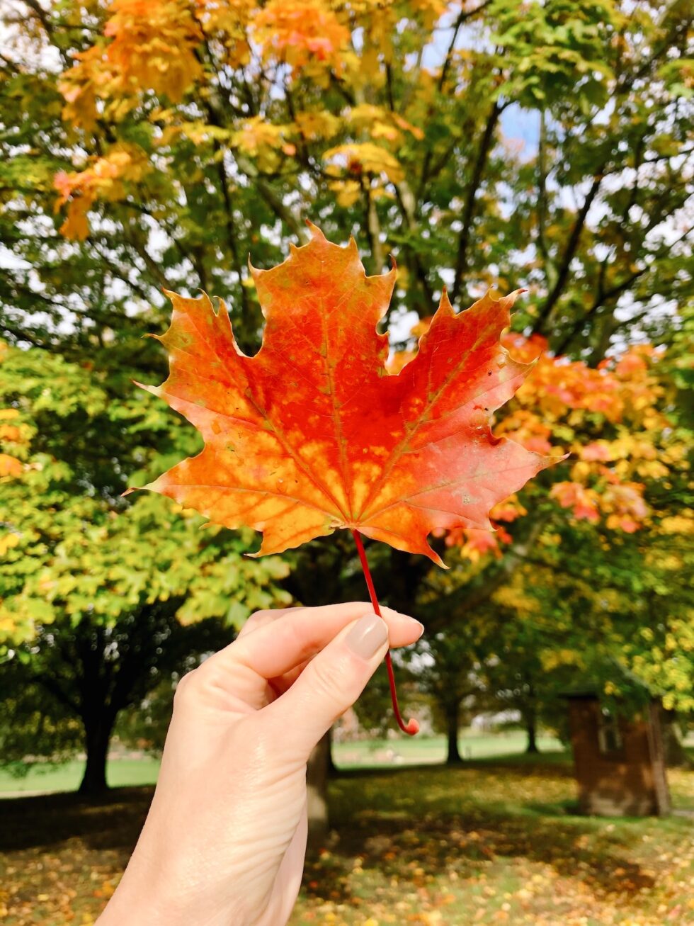 Autumn in London: The Prettiest Places to See the Season 🍁 | Claire ...