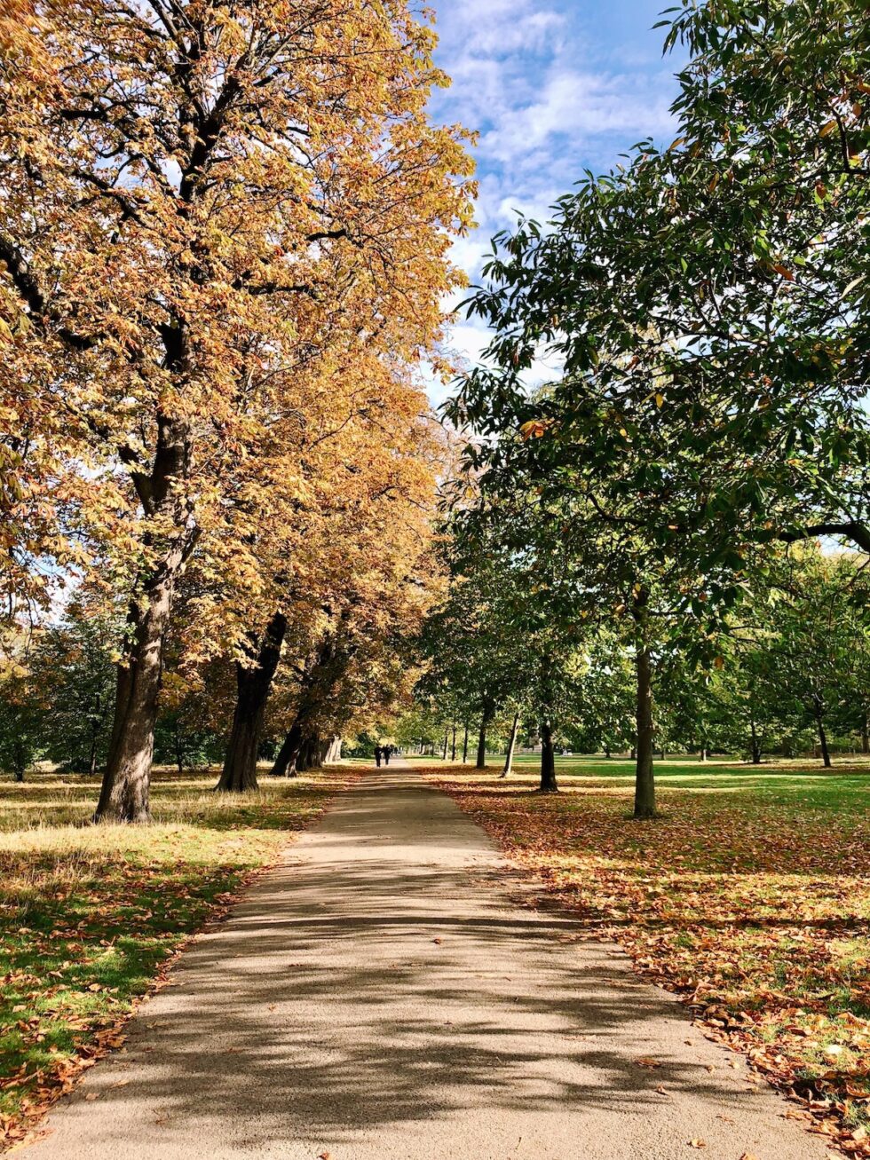 Autumn in London: The Prettiest Places to See the Season 🍁 | Claire ...