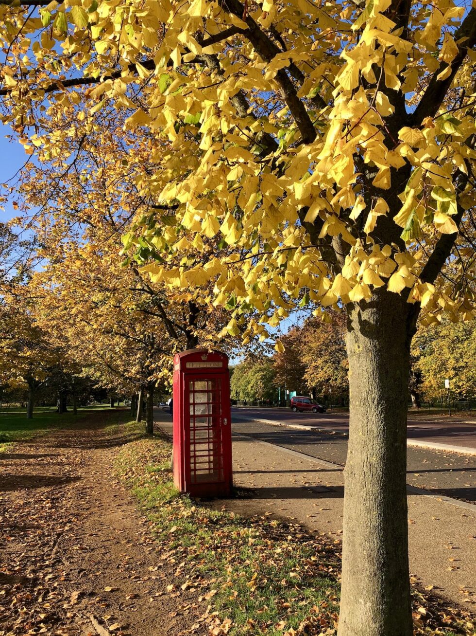 Autumn in London: The Prettiest Places to See the Season 🍁 | Claire ...