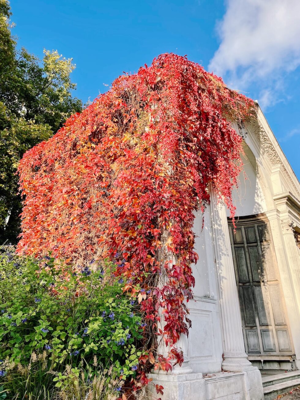 Autumn in London: The Prettiest Places to See the Season 🍁 | Claire ...